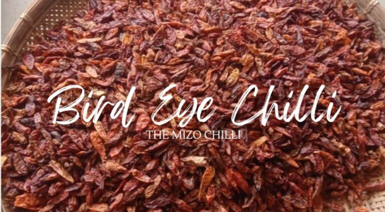Bird Eye Chilli